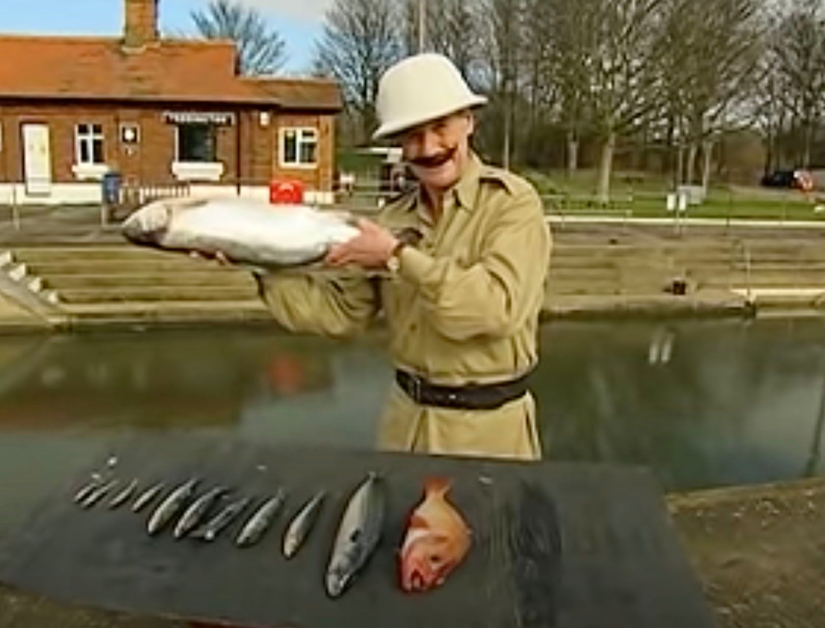 Monty Python Fish Slapping Dance Gif Monty Python Fish Slapping Dance ...